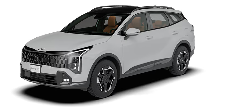 Kia | Grupo Torres Corzo